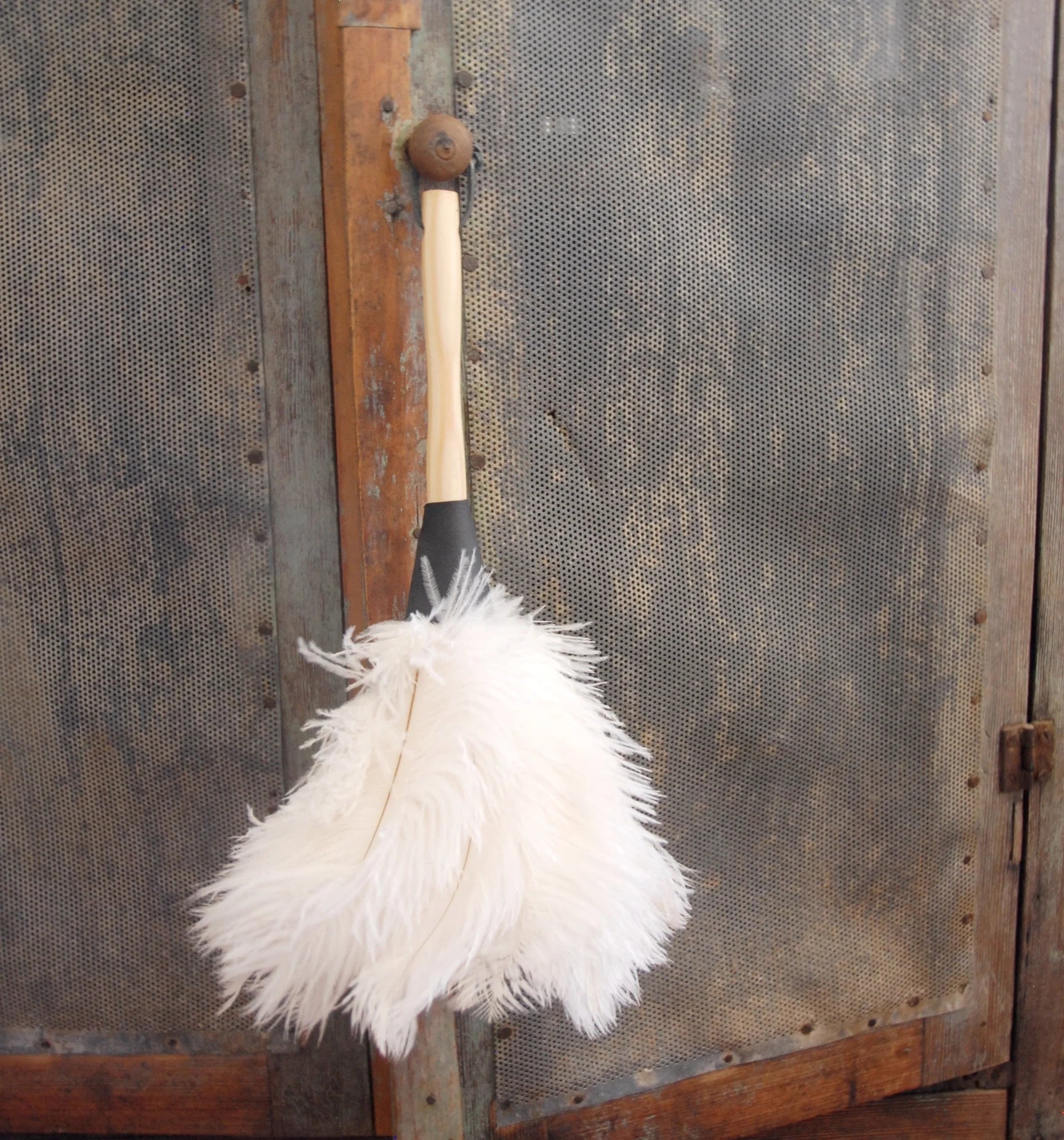 Cream Feather Duster